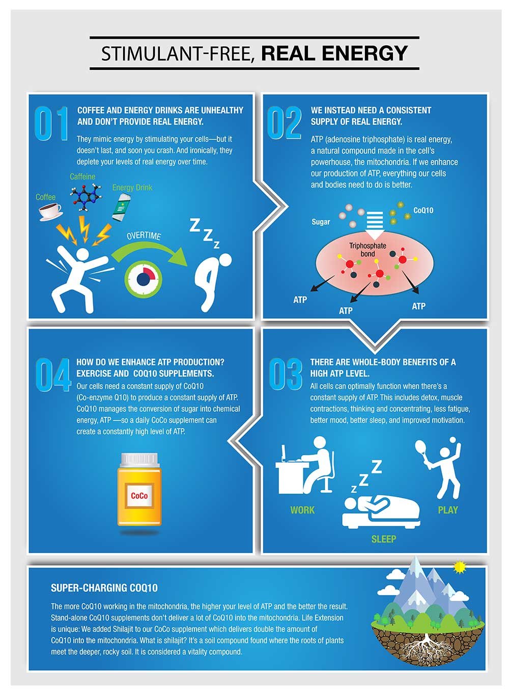 Infographic - ElitebGrowth